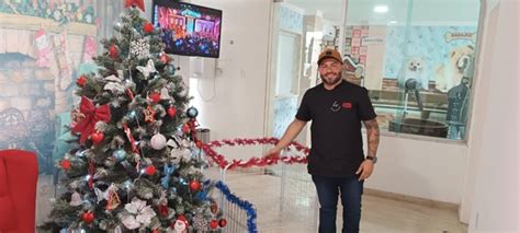 Campanha Arrecada Medicamentos E Rações Para Animais Ongs Receberão As
