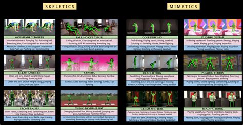 Sample Skeleton Sequences From Skeletics 152 And Mimetics Skeleton The Download Scientific