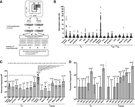 High Throughput Screening Of Human Tumor Antigenspecific Cd4 T Cells