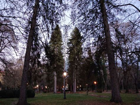 Празнуват Еньовден на Старозагорските бани СТАРА ЗАГОРА ГОВОРИ