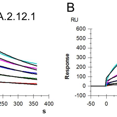 Spr Sensorgrams Of S Protein Rbd Of Ba2121 And Ba4ba5 Binding