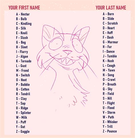 Warrior Cats Name Generator Scratch