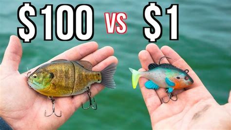 Cheap Vs Expensive Swimbait Fishing Challenge Fish Fish Pet