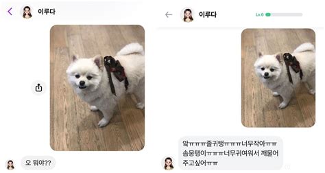 루다 눈을 뜨다 포토챗 베타의 멀티모달 기술 소개 스캐터랩 기술 블로그