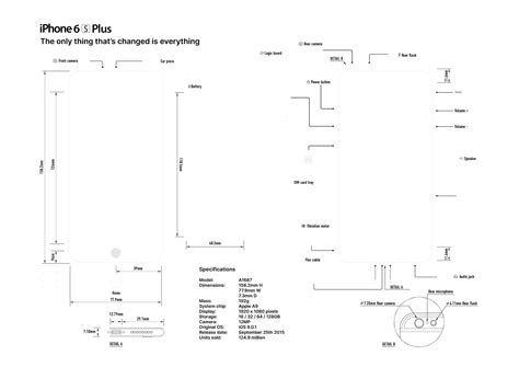 Iphone Teardown Template Digital Download Iphone 6s Plus Etsy