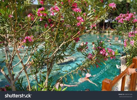 Russian Girls At Swimming Pool：超过 240 张免版税可许可的库存照片 Shutterstock