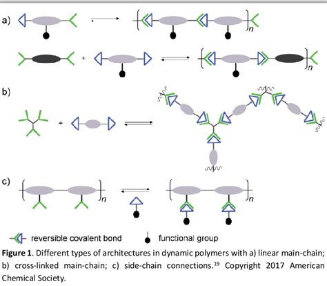 Figure 1 From Dynamic Covalent Polymers For Biomedical Applications