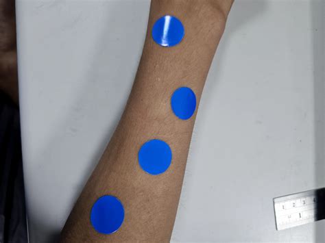 Stick2 Object Detection Dataset By Test