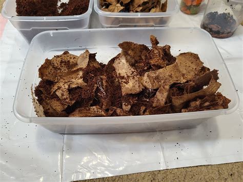 How To Set Up A Worm Farm