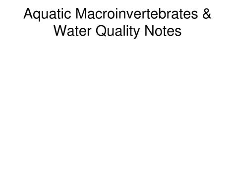 Ppt Aquatic Macroinvertebrates Lab Powerpoint Presentation Free Download Id 4302769