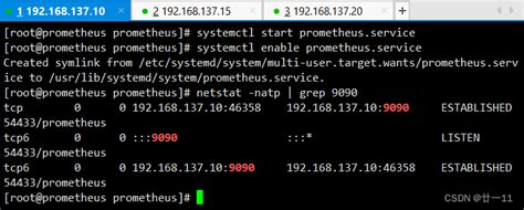 Prometheus部署，操作及grafana展示grafana 浏览器ip访问 Csdn博客
