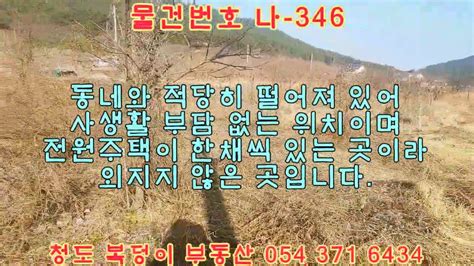 청도전원주택지매매 매전면 동네외곽 정남향 청도부동산 374평청도매물 Youtube