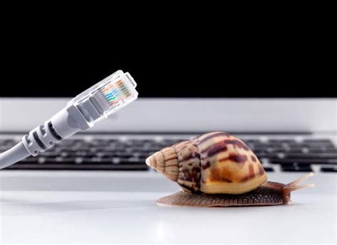 The Best Use Of A Raspberry Pi Is To Spam Rubbish Isps