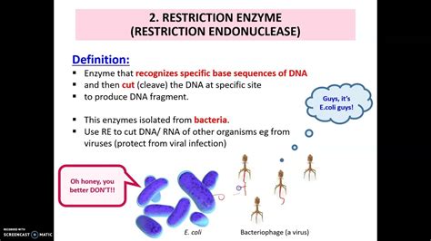 Lecture Chapter 8 Recombinant Dna Technology Part 2 Youtube