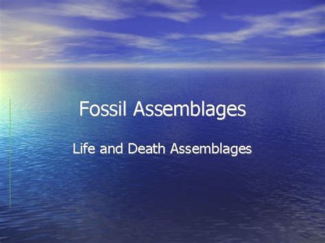 Fossil Assemblages Life And Death Assemblages An Early Fossil Assemblages Life And Death Assemblages An Early
