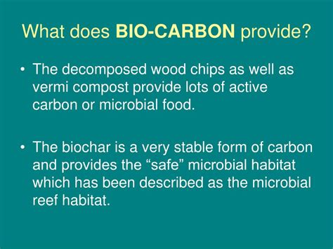 Ppt Bio Carbon The Biologically Activated Carbon Powerpoint