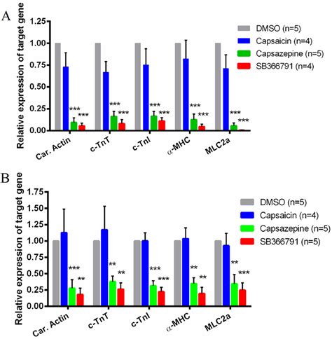 Effect Of Trpv1 Agonist And Antagonists On Mrna Expression Of