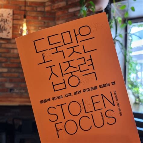 도둑맞은 집중력 집중력 위기의 시대 삶의 주도권을 되찾는 법 삶을 가치 있게 만드는 일에 초점을 맞추고 그것들을 북돋을 방법을