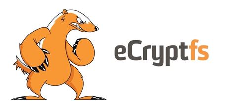 encrypt your home folder in ubuntu 18 04
