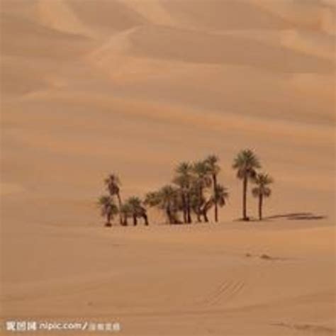 Longwei Dong Lanzhou University Lanzhou Lzu School Of Life Science Research Profile