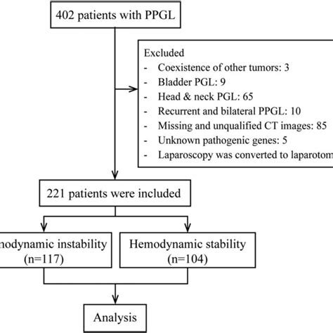 Measurement Of Body Composition On Cross‐sectional Computed Tomography