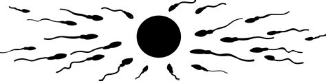 Chapter 1 The Nature Of Science And The Nature Of Sex The Evolution