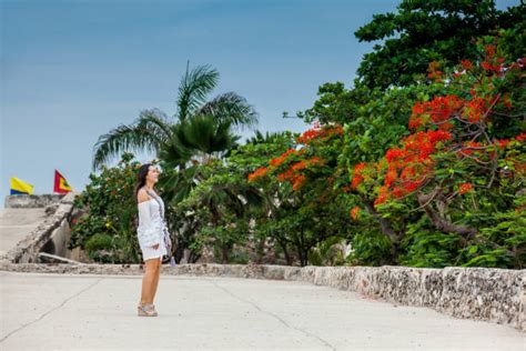 Mochila 스톡 사진 및 일러스트 Istock