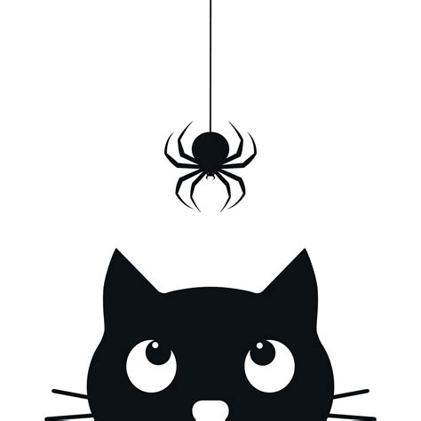 Illustration Of A Black Cat Looking At A Hanging Spider 10367200 Vector