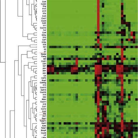 Core Molecular Networks Identified By Ingenuity Pathway Analysis Ipa
