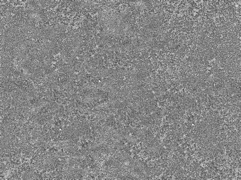 surface texturing cell photos download the best free surface texturing