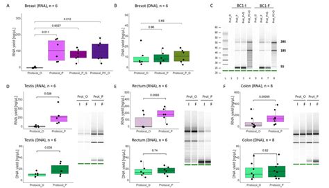 Optimization Of Total Rna And Dna Extraction Protocol A Comparison