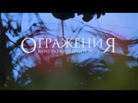 ОТРАЖЕНИЯ: вниз по кроличьей норе - YouTube