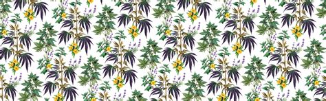 Botanical Pattern And Packaging On Behance