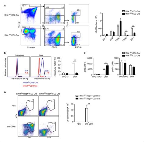 Wnk1 Is Required For Thymocytes To Develop Past The Pre Tcr Checkpoint