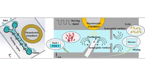 Vortex Enhanced Microfluidic Chip For Efficient Mixing And Particle Capturing Combining