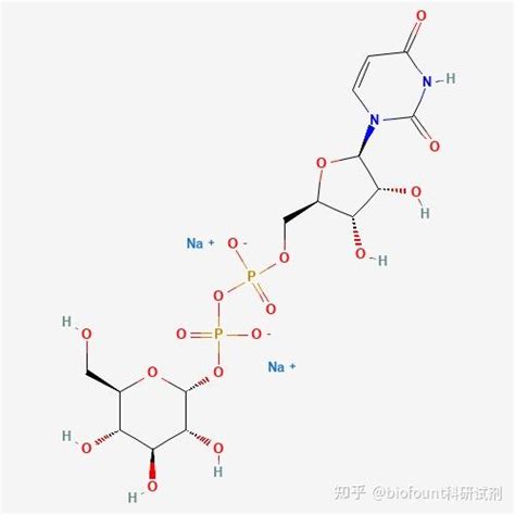 UDP 葡萄糖高度 P2Y14 激动剂 知乎