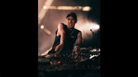 Heeriye Dj Mandragora Mix Full Version Youtube
