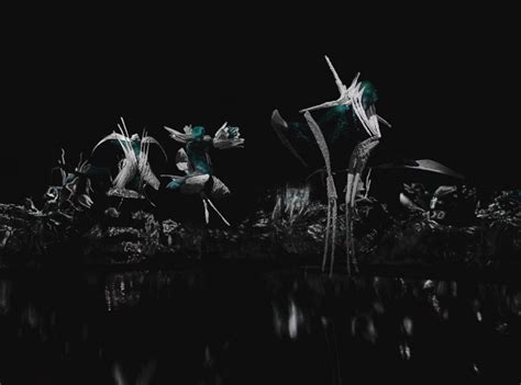 Seven Key Installations And Exhibitions From Melbourne Design Week 2024