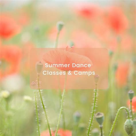 Summer Dance Classes And Camps Dance Classics