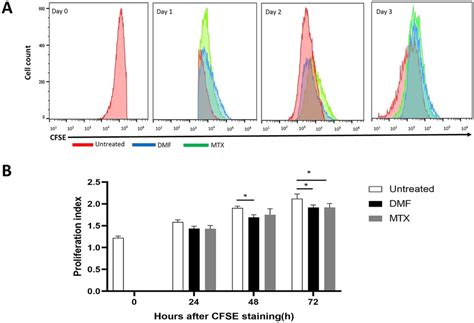 Proliferation Rate In Fls Treated With Dmf And Mtx By Cfse Assay Download Scientific Diagram