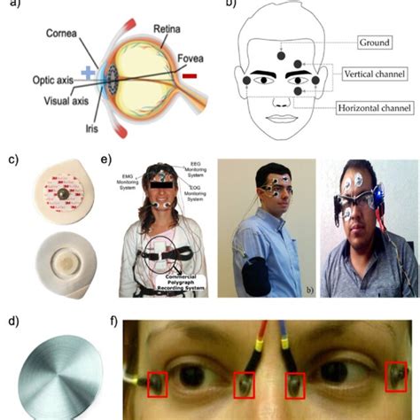 Eog Detection Systems A An Anatomical Illustration Of The Eye
