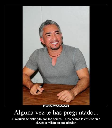 Alguna Vez Te Has Preguntado Desmotivaciones