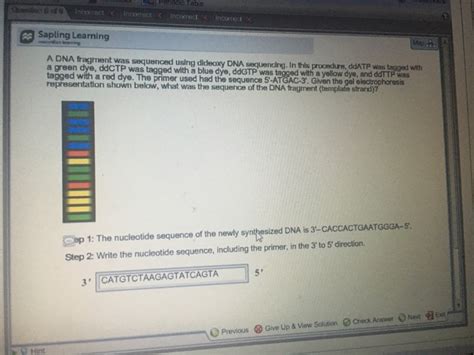solved a dna fragment was sequenced