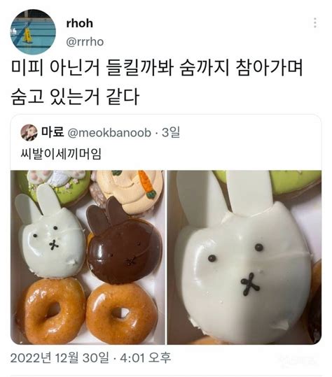 크리스피 도넛 미피 콜라보 반전 실물 인스티즈instiz 이슈 카테고리