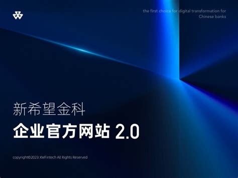 品牌设计｜xw Fintech 企业官网 20xxldesignstudio 站酷zcool
