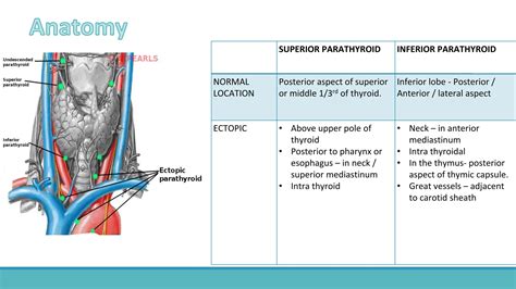 Hyperparathyroidism Imaging Metabolic Bone Diseasepptx