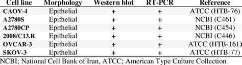 Expression Of Sortilin 1 In Ovarian Cancer Cell Lines Download Table