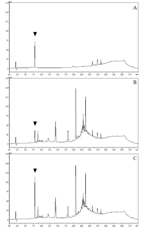 Hplc Chromatograms Of Standard Protocatechuic Acid A Download