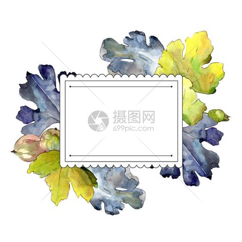 醋栗叶和浆果在孤立的水彩风格框架边框装饰广场背景纹理包装图案框架或边高清图片下载 正版图片507452655 摄图网