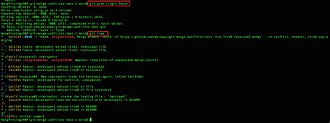 Testcase Notes 2 Two Developers Work On The Same Branch